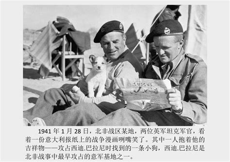 二战北非战场的珍贵照片，记录在金字塔下的战争（45张高清）