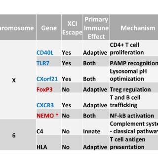 Immune Related Genes Implicated In The Sex Based Differences In The Download Scientific
