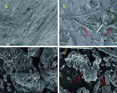 The SEM Micrographs Of MS A ES B MSC C And ESC D Download Scientific Diagram