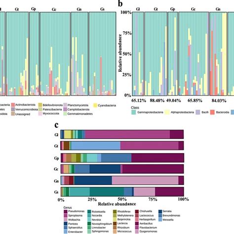 Comparisons Of Gut Bacterial Communities Among Different Species A