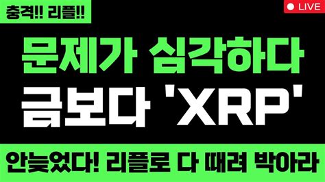 리플 미쳤습니다 문제가 심각하다 금보다 Xrp 안늦었다 대박입니다 리플로 다 때려 박아라 Xrp 무조건 올라요 엑스알피
