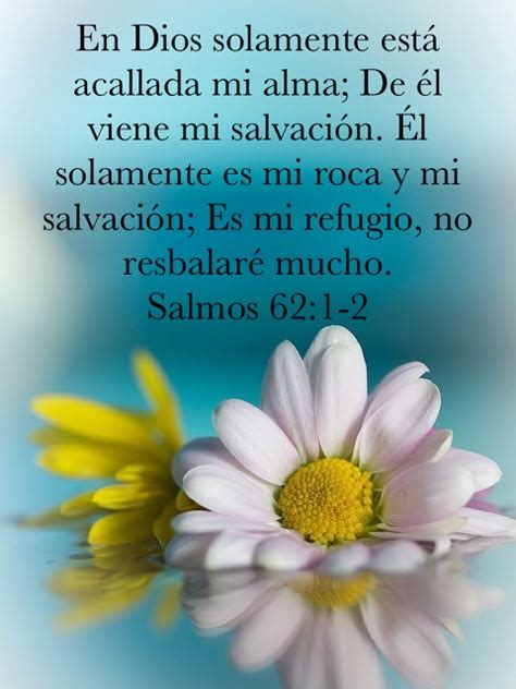 40 Ideas De Textos De La Biblia En 2021 Textos De La Biblia Frases