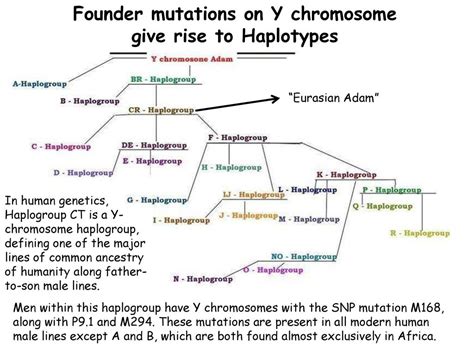 Applications In Bioinformatics Proteomics And Genomics Ppt Download