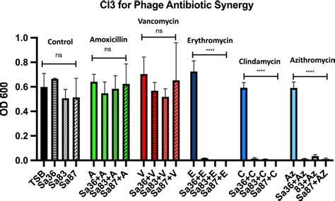 Protein Synthesis Inhibitors Erythromycin E Clindamycin C And