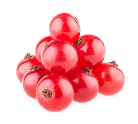 Premium Photo Red Currant
