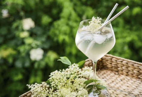 15 Delightful St Germain Elderflower Cocktail Recipes