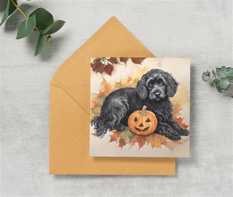 Black Cockapoo Snuggled Up With A Jack O Lantern Set Of 10 Greeting