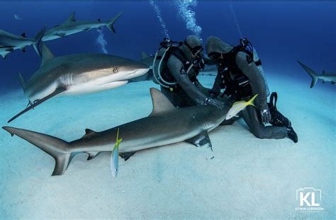 Narrasoft Posted On Linkedin