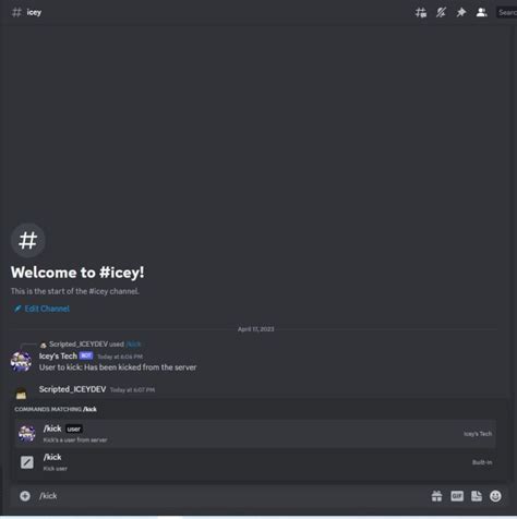 Make A Custom Discord Bot For You By Scriptediceydev Fiverr
