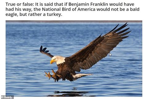 How Good Is Your General Knowledge Brain Bending Quiz Tests Science Geography And Maths Skills