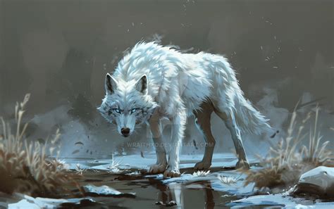Ghost Wolf Wallpaper By Wraithxo On Deviantart