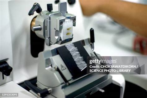 Microtomes Photos Et Images De Collection Getty Images