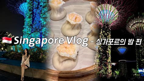 Vlog 🇸🇬 싱가포르 브이로그 5탄 Singapore Vlog 싱가포르의 밤 가든스 바이 더 베이 방문