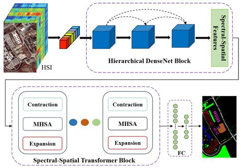 End To End Convolutional Network And Spectral Spatial Transformer Architecture For Hyperspectral
