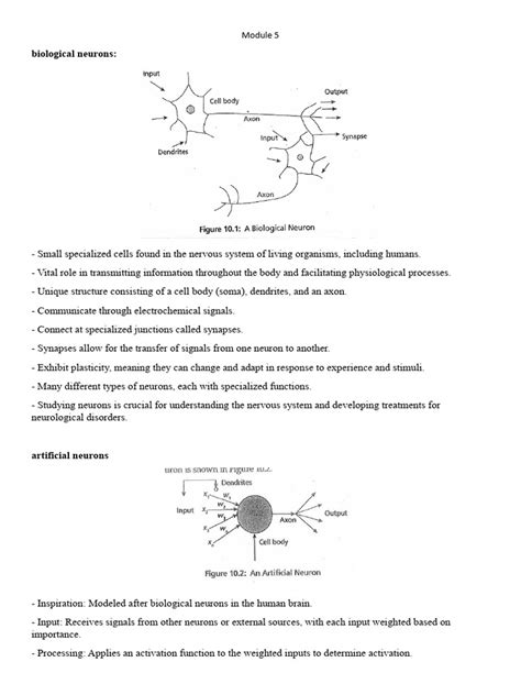 Module 5 1 Pdf Artificial Neural Network Cluster Analysis