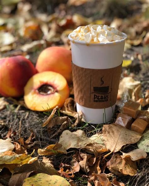 Peach Cobbler Iced Latte A Golden Taste Of Comfort And Summer ☀️🍑☕️ The Java Journeys Peach Cobbler Iced Latte A Golden Taste Of Comfort And Summer ☀️🍑☕️ The Java Journeys