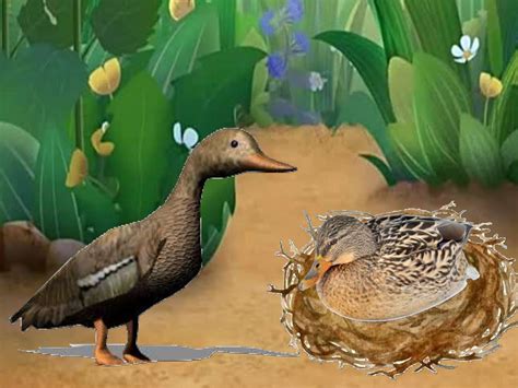 Гадкий утенок Г Х Андерсен презентация онлайн