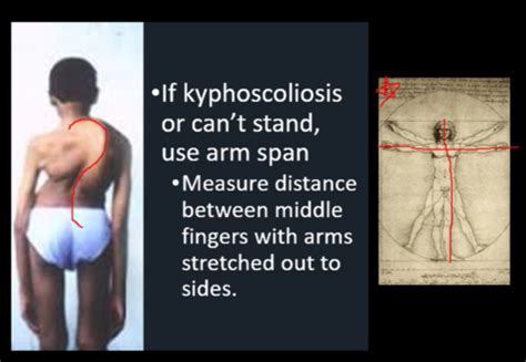 Pft Lecture 4 Normals And Patient Testing Prep And Coaching Flashcards Quizlet