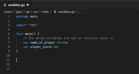 Variable Basics Go Geektechstuff