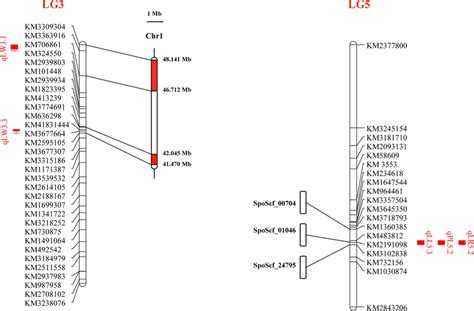 The Physical Position Of The Qtls That Were Detected At Least On Two Download Scientific