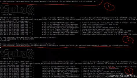 14 01 Springboot 配置优先级 Csdn博客