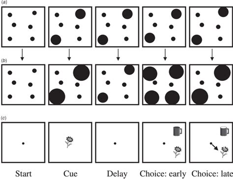 Possible Interaction Between Prefrontal And It Cortex During Visual