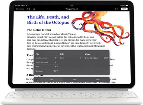 Fintie Keyboard Shortcuts Store