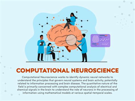 Computational Neuroscience PowerPoint And Google Slides Template PPT