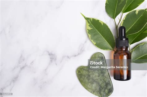 브랜드가없는 혈청 병 대리석 배경에 잎이있는 구아샤 얼굴 마사지 치료를위한 비취 얼굴 마사지기 안티 에이지 리프팅 및 토닝 처리 개념에 대한 스톡 사진 및 기타 이미지