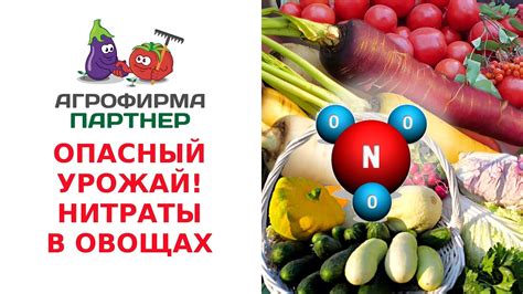 ОПАСНЫЙ УРОЖАЙ! НИТРАТЫ В ОВОЩАХ - YouTube