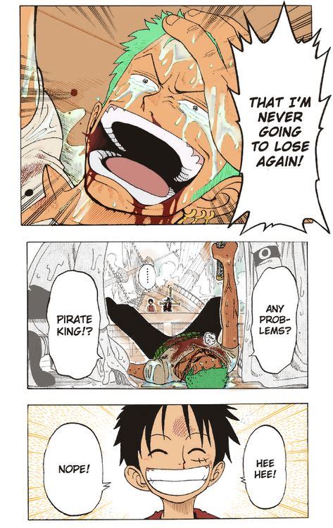 Character Discussion Luffy And Zoro Parallels All Throughout One Piece Page 3 Worstgen