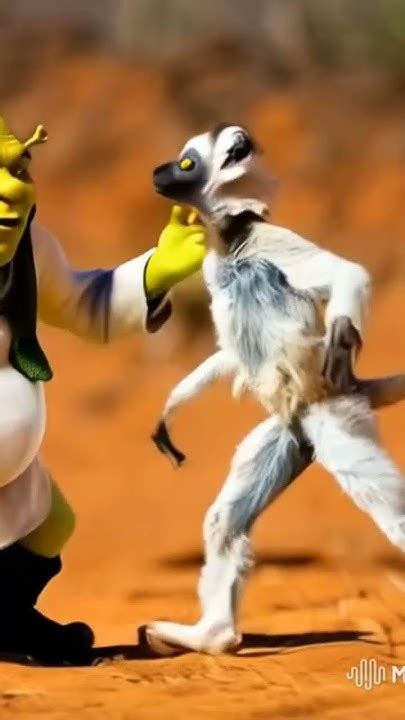 Fyp Foryouviral Foryoupage Fytrending Funny Youtube