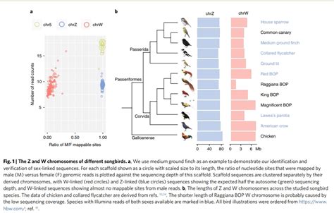 Xu Lab Southwest University