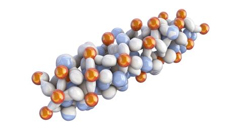 Premium Photo 3d Model Of A Polypeptide Chain Molecular Structure