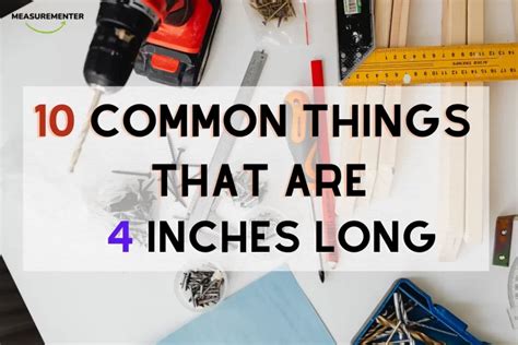 13 Common Things That Are 12 Centimeters Long Measurementer