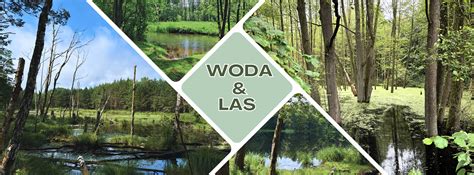 Unity Line Unity Line Added A New Photo