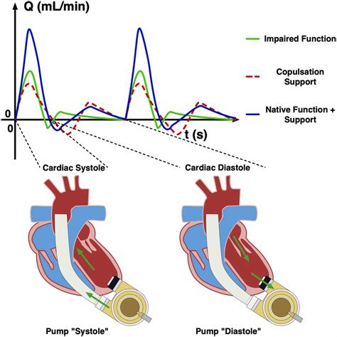 Generation Of Pulsatile Flow Using Clinical Continuous Flow Pumps Jhlt Open