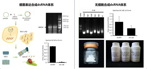 RNA生物农药生产工艺创制获第二届率先杯上海赛区提名奖 上海植生优谷生物技术有限公司