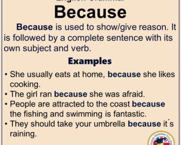 English Grammar Here Grammar Documents And Notes
