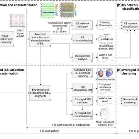 Overview Of Data Collection And Analysis Iis Interictal Intracerebral