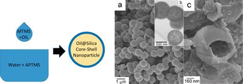 Nanosynthesis Techniques Of Silica Coated Nanostructures Intechopen