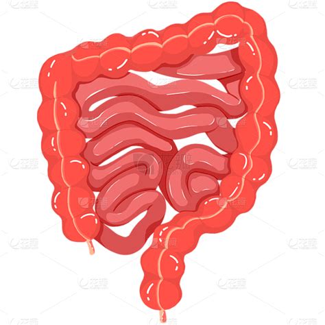 手绘 人体器官医疗元素贴纸50