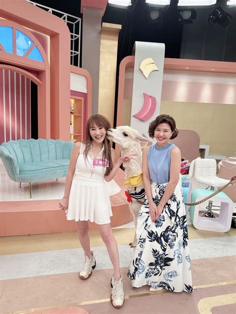 《姊妹亮起來》養狗養貓不稀奇 家裡養羊駝萌翻所有人｜四季線上4gtv