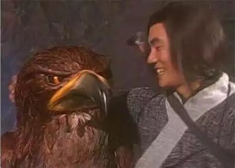 神雕侠侣五个版本雕兄对比 这一版最丑但也最符合原著