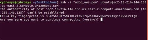 How To Install Odoo 11 On Amazon Ec2