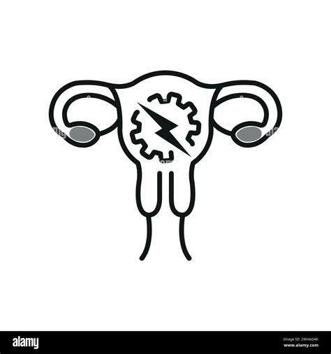 Female Reproductive System Cut Out Stock Images And Pictures Alamy