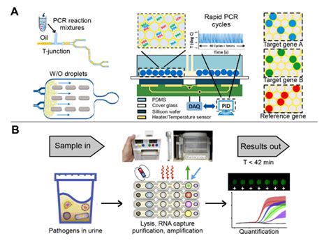 The Multiplex Detection Of Infectious Diseases Using Droplet Based