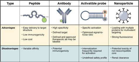 Figure 1 From Molecular Imaging In Gastrointestinal Endoscopy