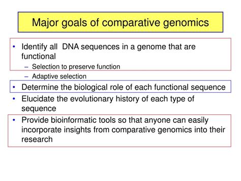 PPT Comparative Genomics PowerPoint Presentation Free Download ID