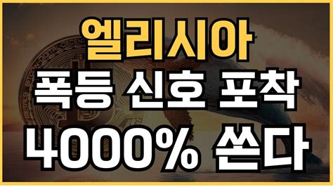 엘리시아 4천 쏩니다 폭등신호 포착 완료 Youtube